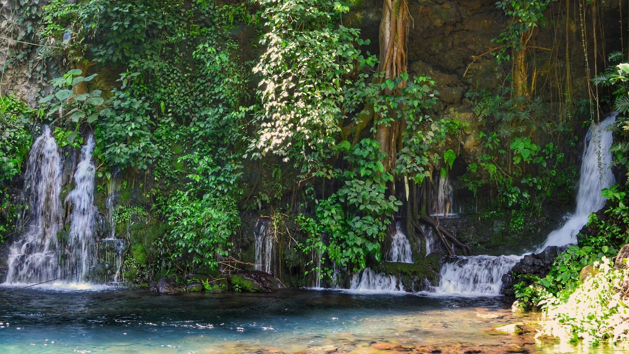 Nace el Río, un paraíso natural en Veracruz que no te debes perder ...